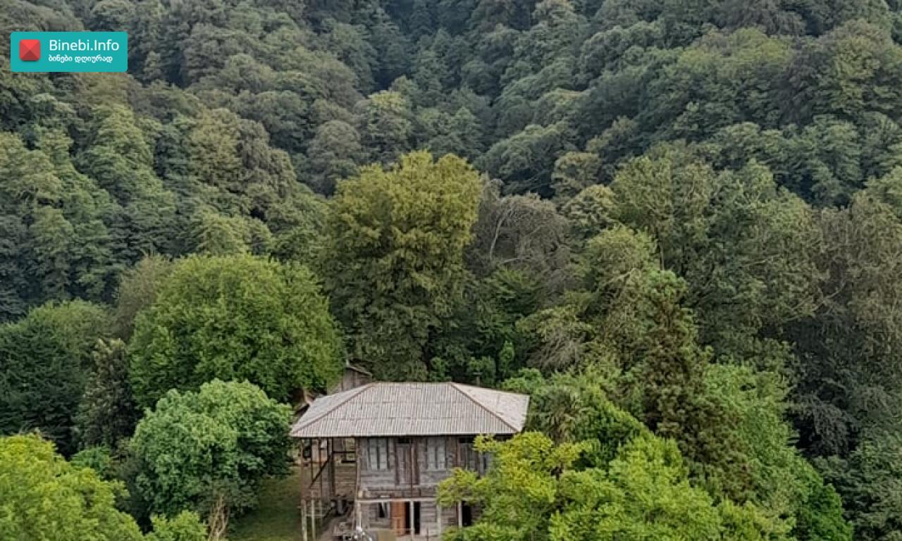 iyideba saxli miwis nakvetebit